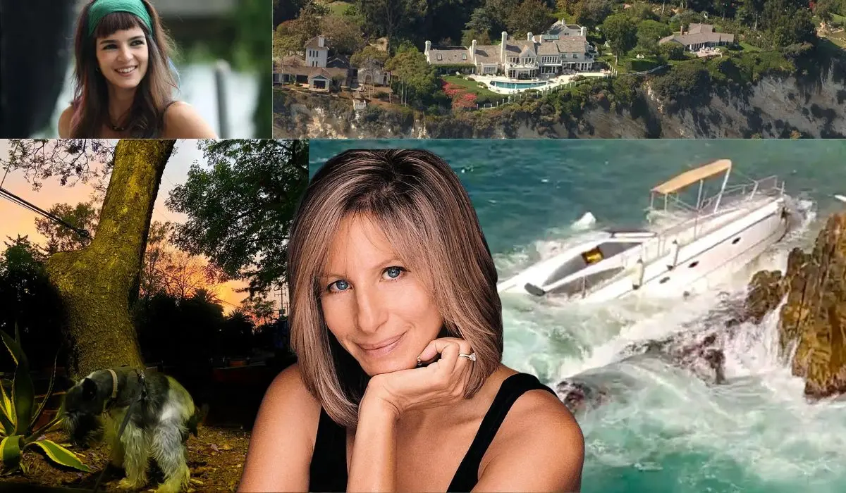 Las Marcas en Internet y el Efecto Barbra Streisand